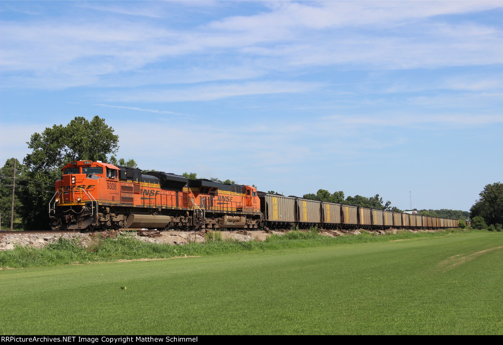 Blue Sky and Green Grass